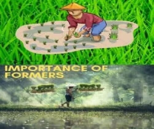 Importance Of Farmers: What Issues They Face - ThinkMust